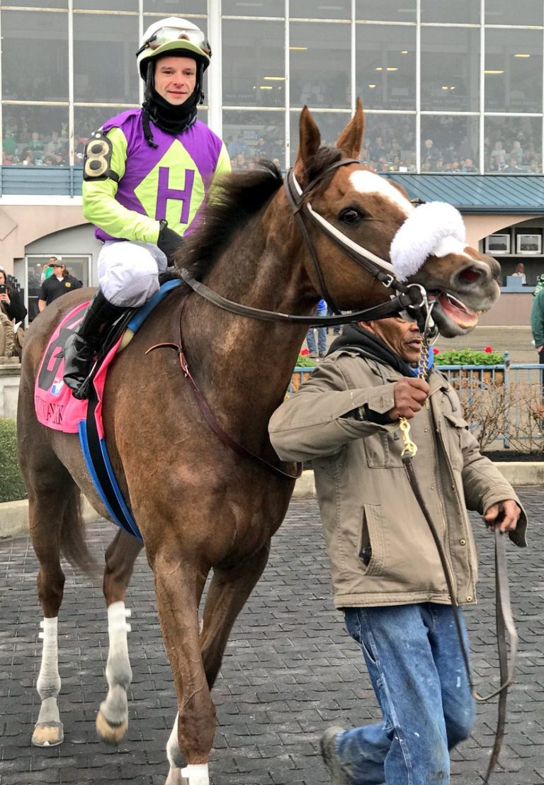 FLOWER ALLEY FILLY BLOOMS IN US FEATURE – Wilgerbosdrift